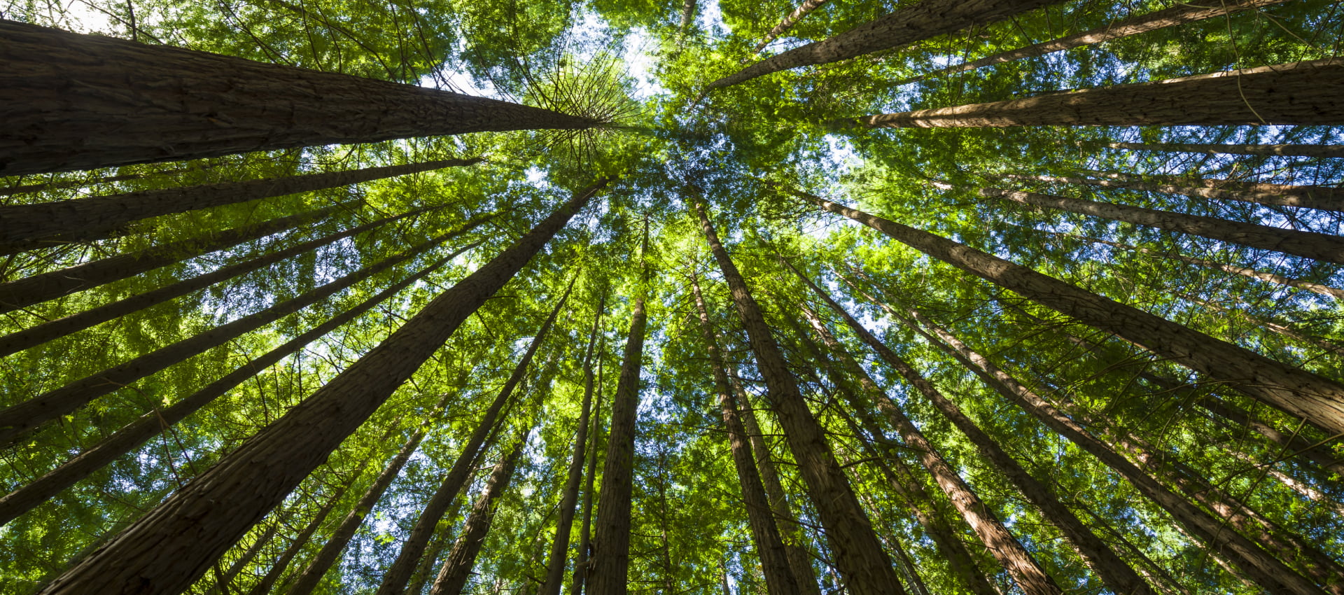 L’Observatoire National de l’Environnement et du Développement Durable